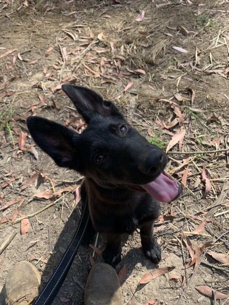 Working Line vs Show Line, what is the difference? – KathWay Group