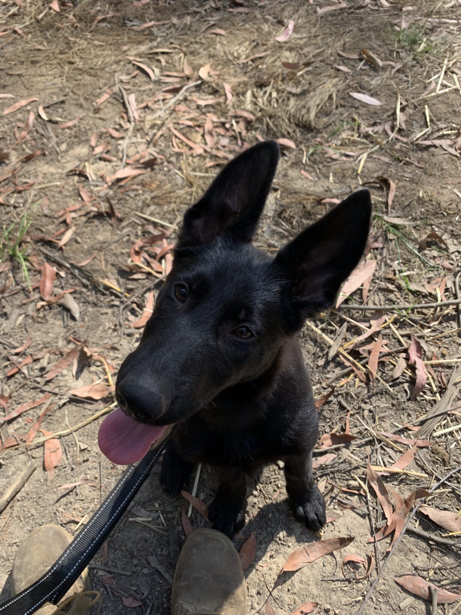 Working Line vs Show Line, what is the difference? – KathWay Group